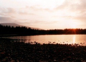 The Irish Midge - Something Irish Tourists Need Know About