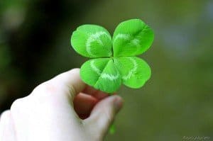 The Shamrock - A Well Loved Symbol Of Ireland