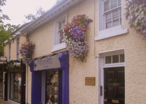 The Beauty Of Ireland's Flower Baskets