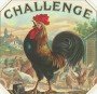 Lessons In Life From Wise Old Irish Hens