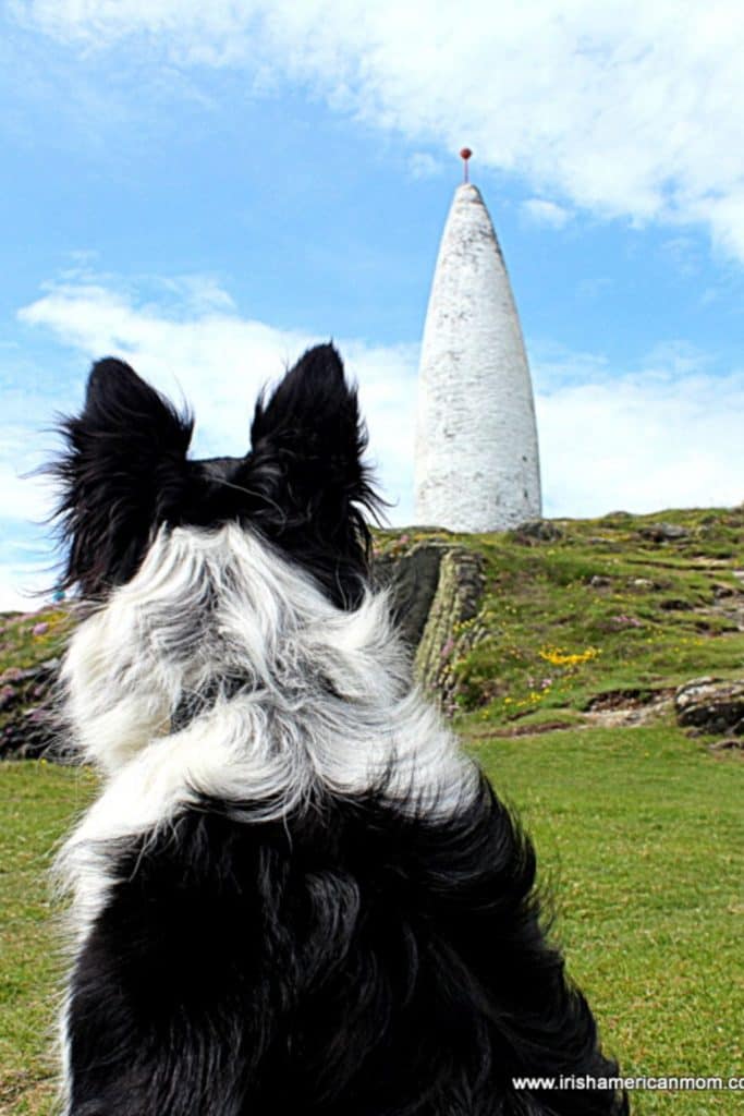 Irish Sheepdogs – Why I Love Border Collies
