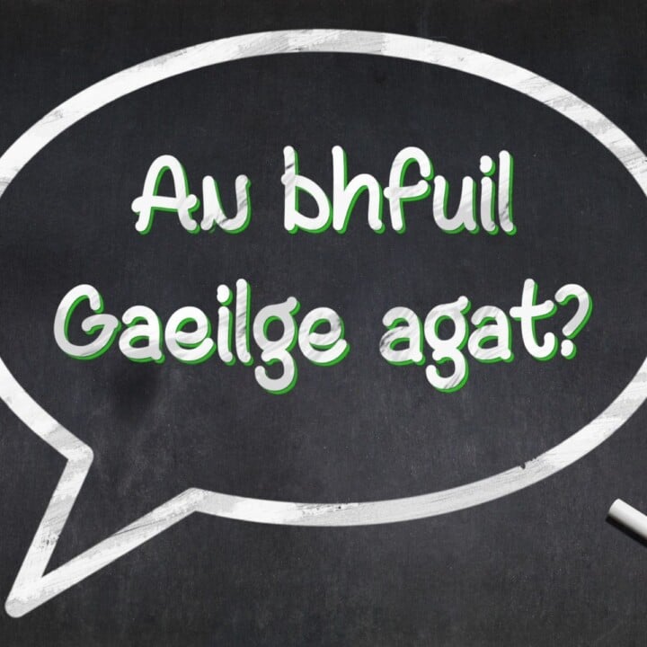 December, 2012 | Irish American Mom