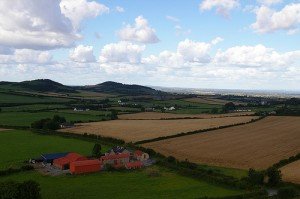 County Laois - Land of the Cow | Irish American Mom