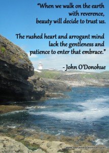 The Gift of Peacefulness In Celtic Words Of Wisdom