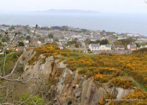 Furze – The Yellow Flower Of The Irish Landscape