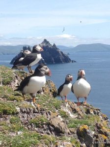 Skellig Michael