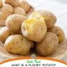 What Is A Floury Potato
