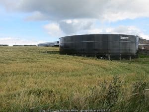 The Aromas Of The Irish Countryside