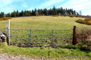 The Metal Gate – Ireland’s Picture Frame