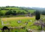 The Sad Truth Of Ireland's Famine Burial Pits In Skibbereen