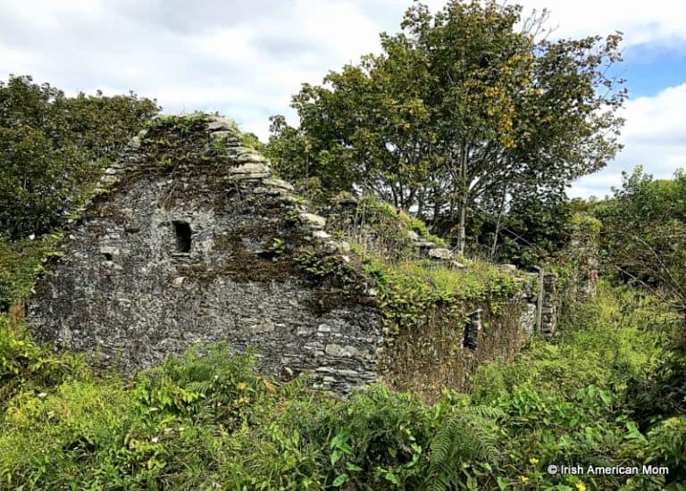 Visual Proof You Must See Sherkin Island