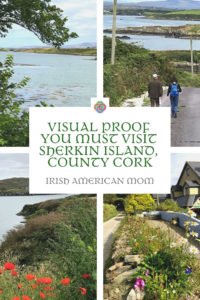Visual Proof You Must See Sherkin Island