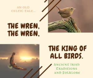 Wren Day - An Irish Tradition On Saint Stephen's Day