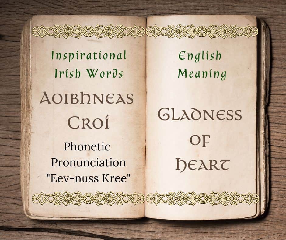 The Celtic Languages