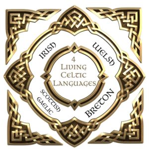 The Celtic Languages
