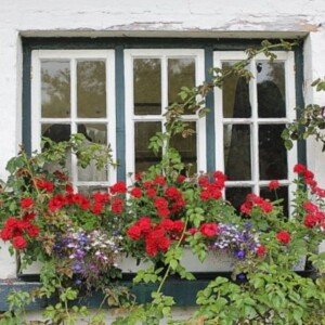 The Thatched Cottage As A Symbol Of Ireland