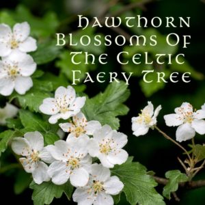 The Celtic Festival Of Bealtaine | Irish American Mom