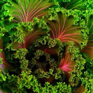 Kale Sautéed With Bacon And Garlic | Irish American Mom