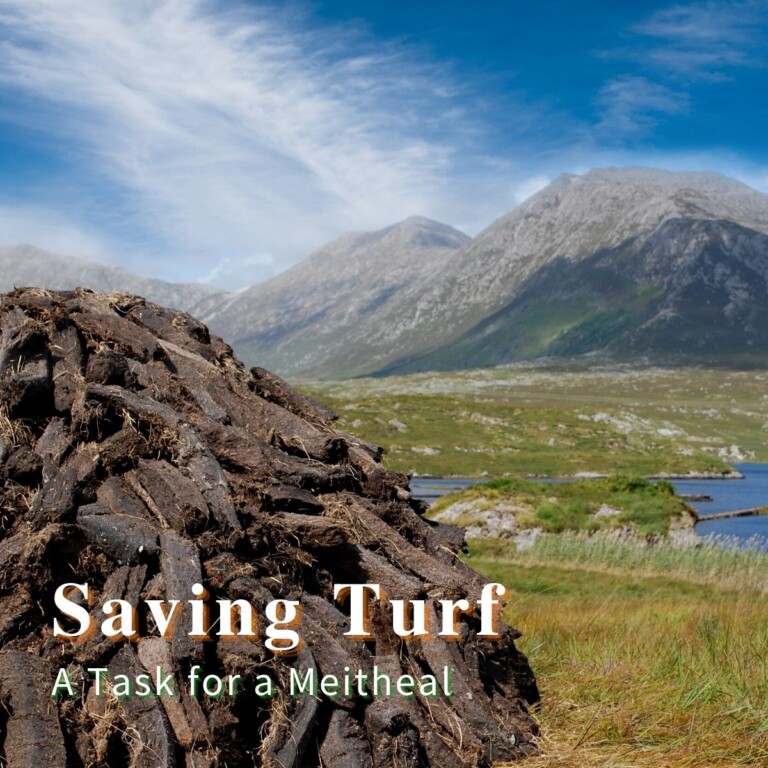 The Meaning Of A Meitheal In Irish Culture