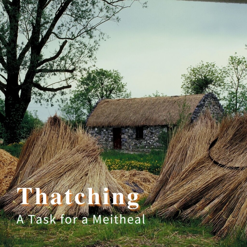 The Meaning Of A Meitheal In Irish Culture