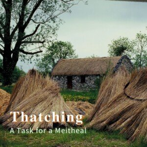 The Meaning Of A Meitheal In Irish Culture
