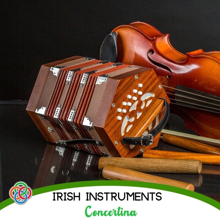 Unique Instruments in Irish Music | Irish American Mom
