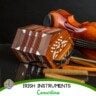 Unique Instruments in Irish Music | Irish American Mom