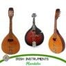Unique Instruments in Irish Music | Irish American Mom