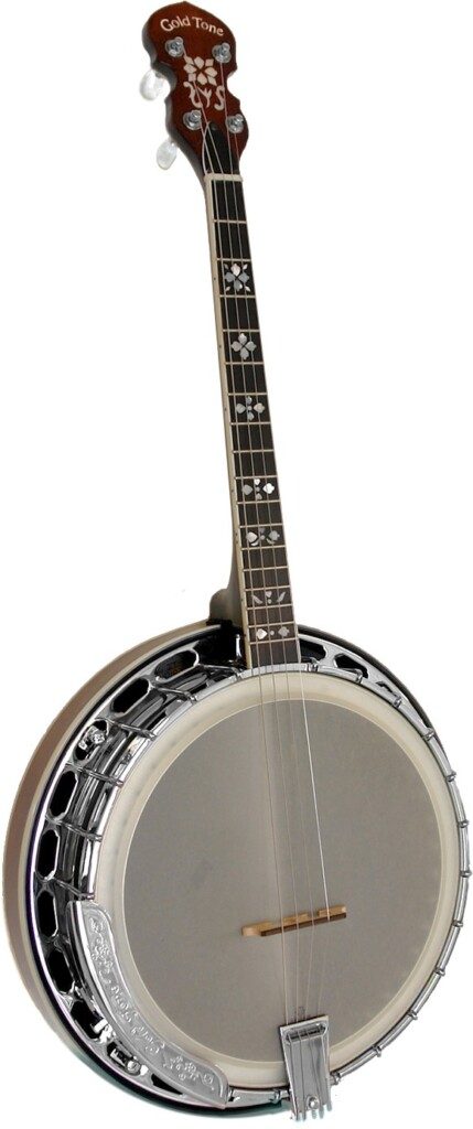 Unique Instruments in Irish Music