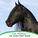 Characters You Should Know from Irish Folklore
