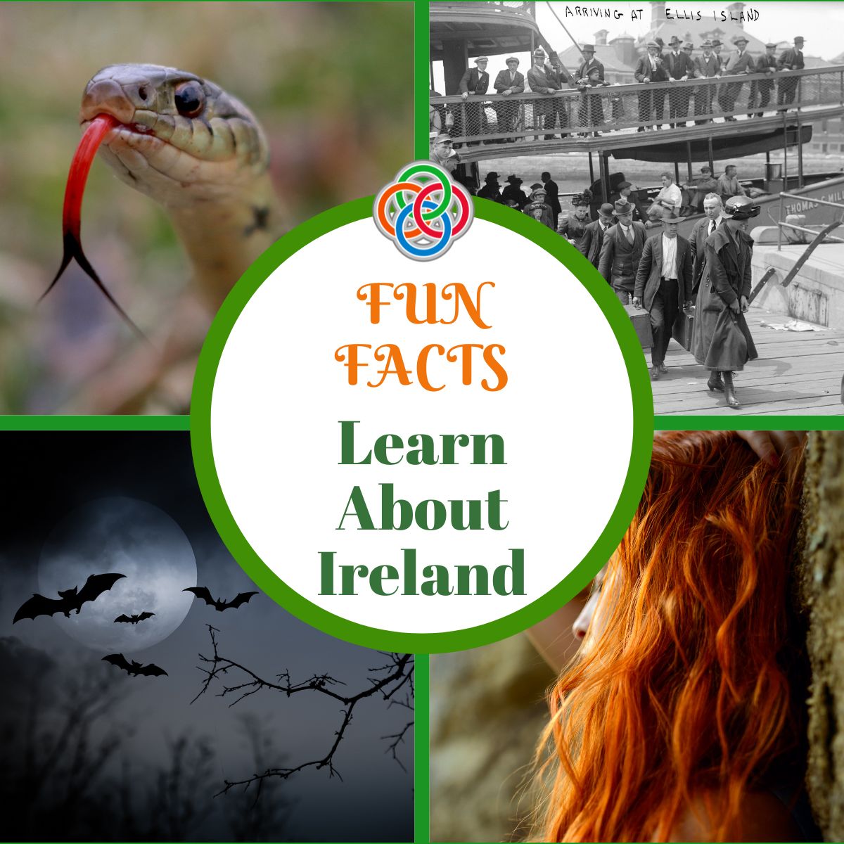 Interesting Facts About Ireland You May Not Know | Irish American Mom