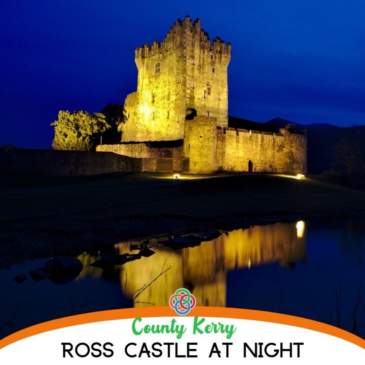 Everything You Need To Know About Ross Castle
