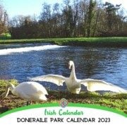 Irish Tweed Giveaway