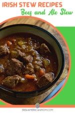 Beef and Ale Stew
