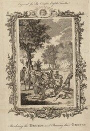 What is a Celtic Druid?