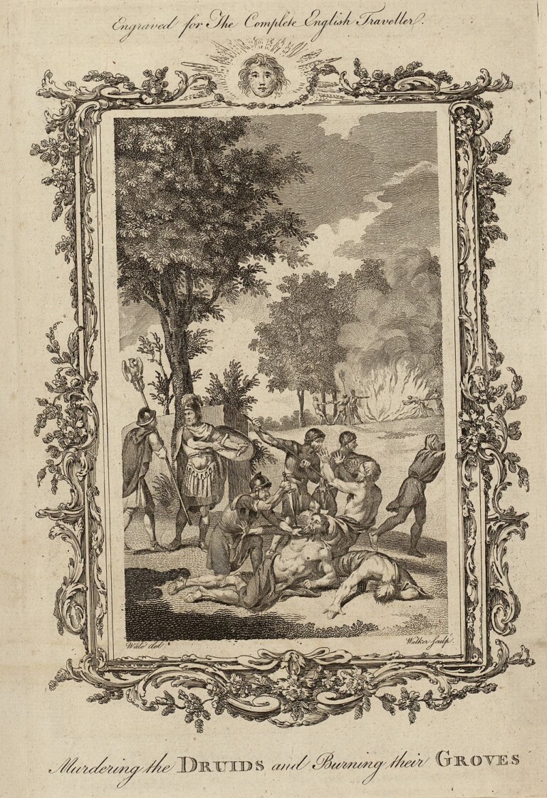 What is a Celtic Druid?