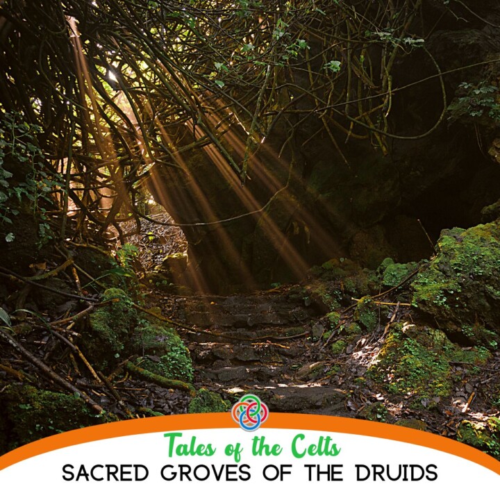 What is a Celtic Druid?