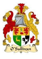 Irish Family Crests: An Easy Step by Step Guide
