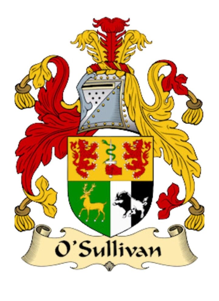 Irish Family Crests: An Easy Step by Step Guide