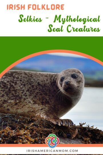Where the Sea Meets the Soul: Selkies in Celtic Lore