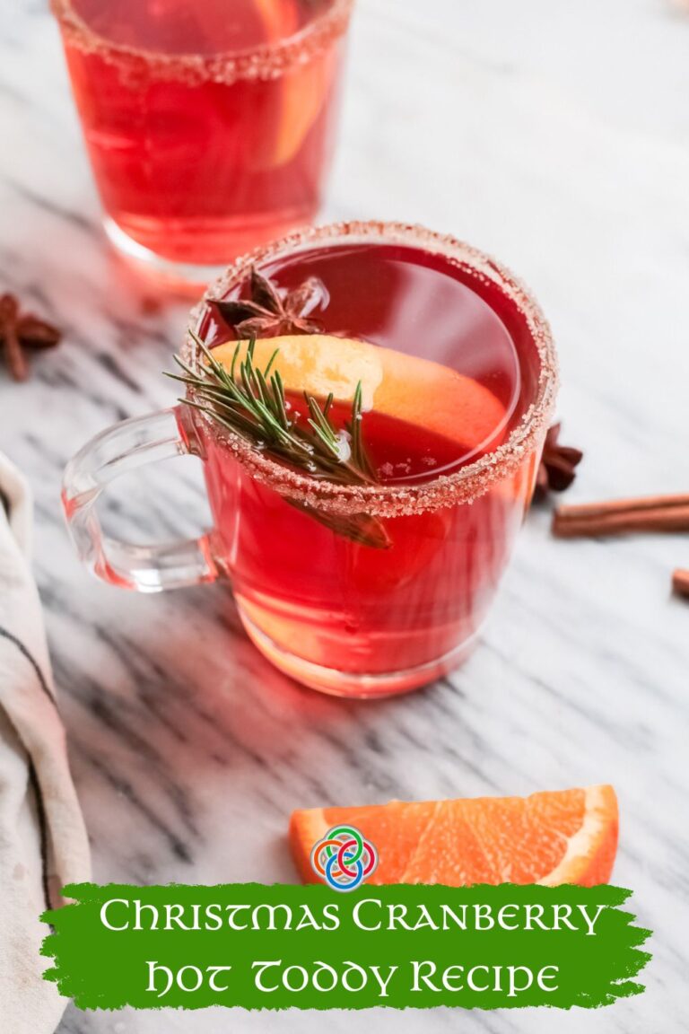 Sip Into the Season: Spiced Cranberry Hot Toddy Recipe
