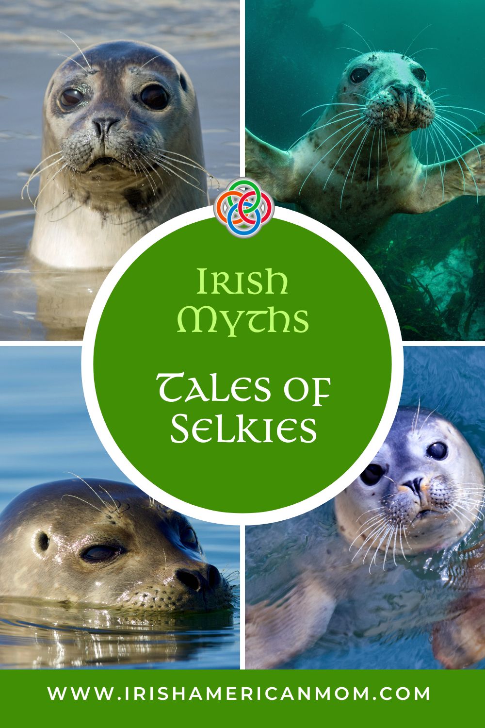 Where the Sea Meets the Soul: Selkies in Celtic Lore Where the Sea Meets the Soul: Selkies in Celtic Lore