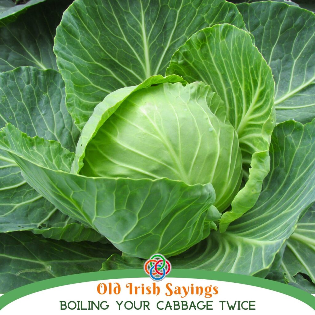 The Meaning Of A Meitheal In Irish Culture