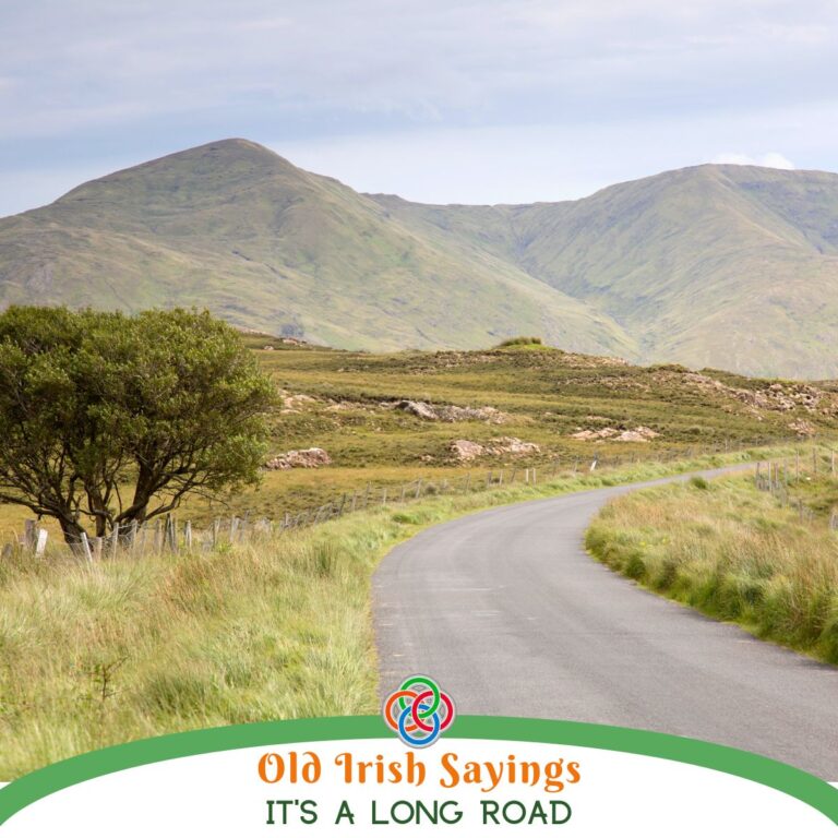 The Meaning Of A Meitheal In Irish Culture