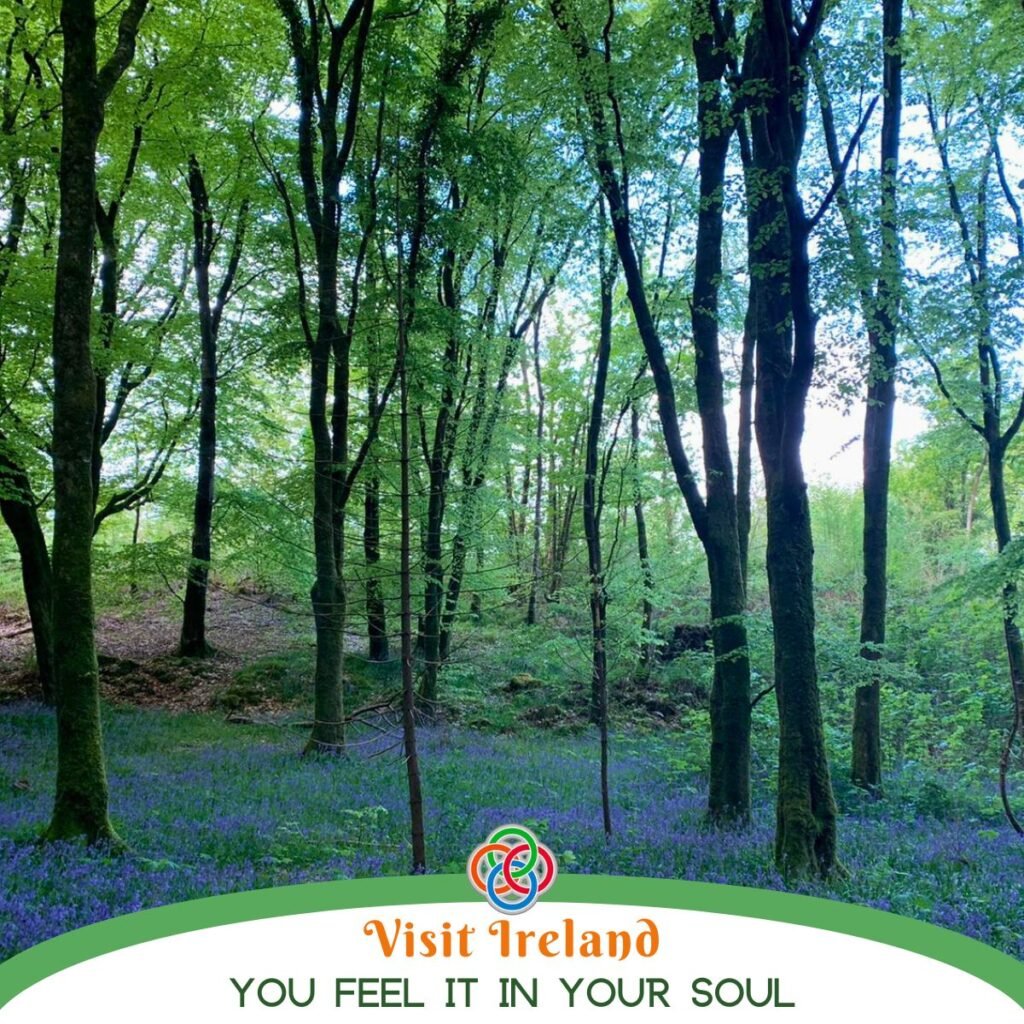 Core Values In Irish Culture | Irish American Mom