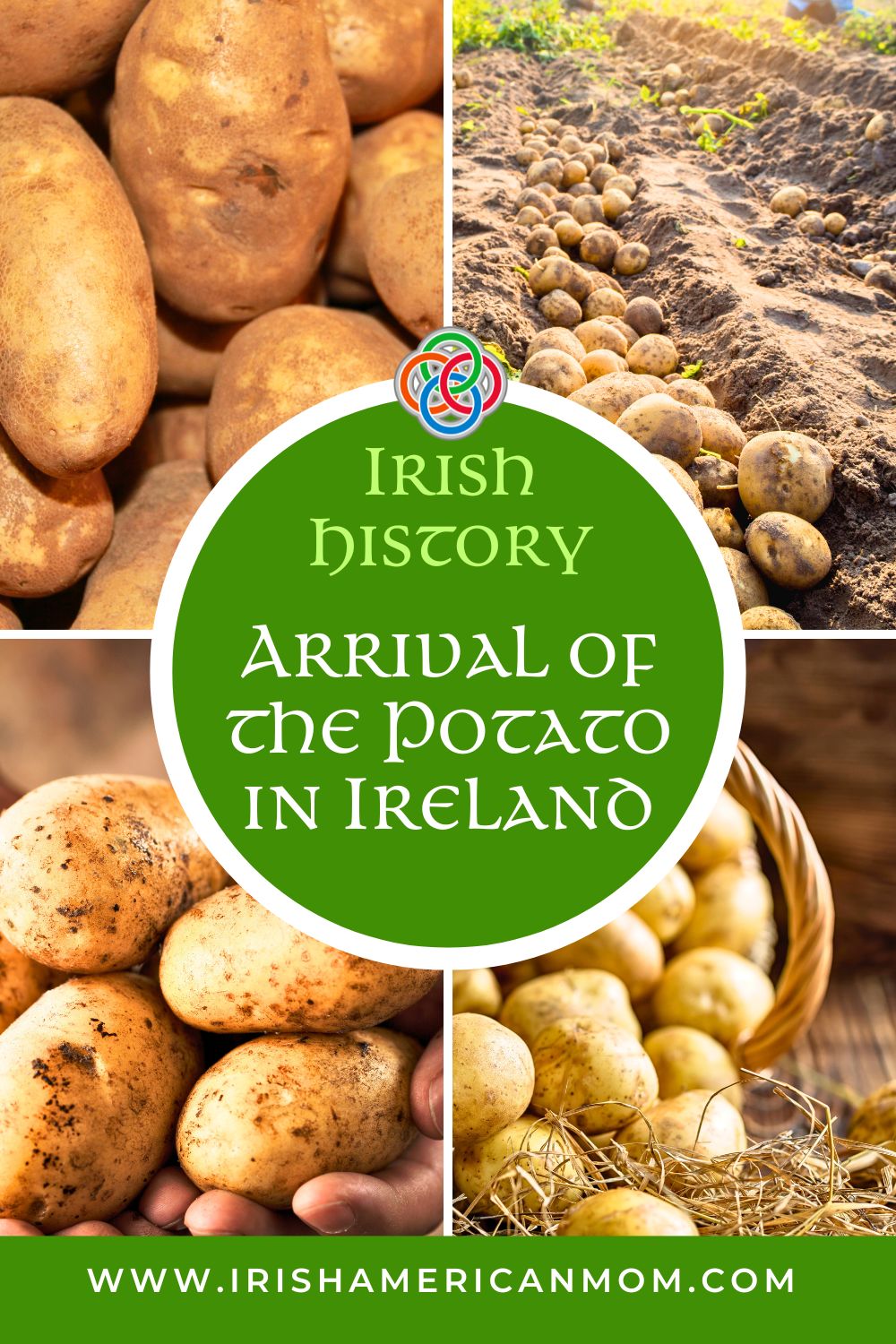 From Foreign Tuber to Irish Treasure: The Arrival of the Potato in Ireland