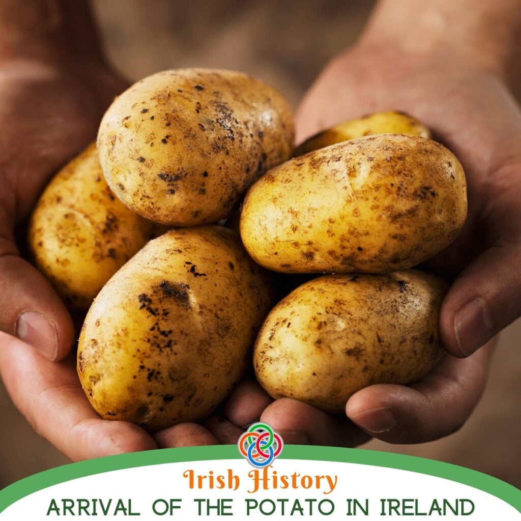 The Irish Love Of Adjectives